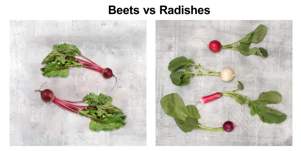 Beets vs Radishes: Nutrition and Other Facts – Radish benefits