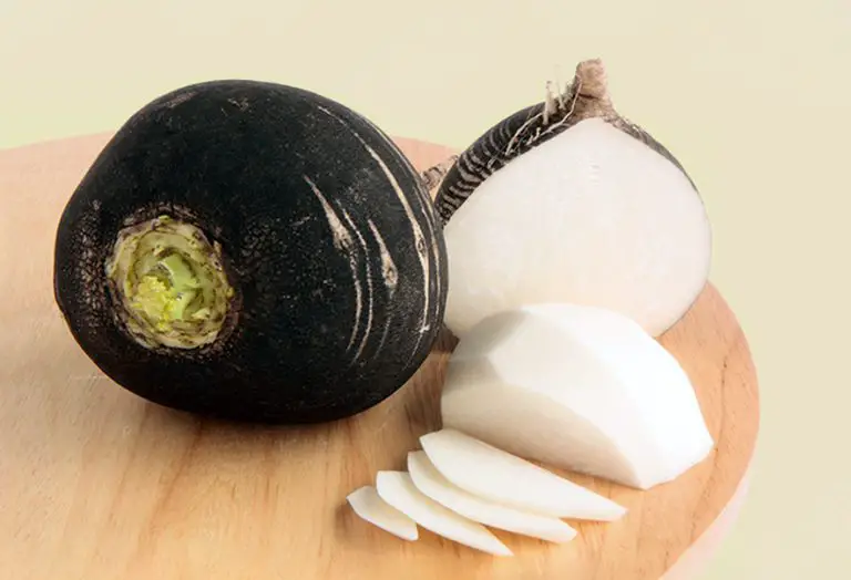 What Is Black Radish? – Radish benefits