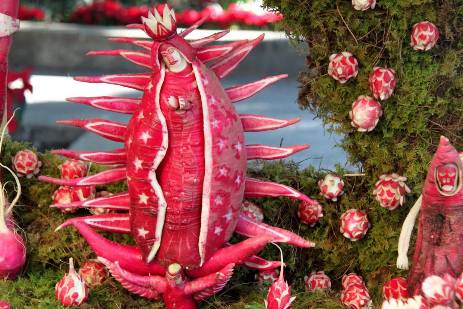 Night of the Radishes: Facts – Radish benefits