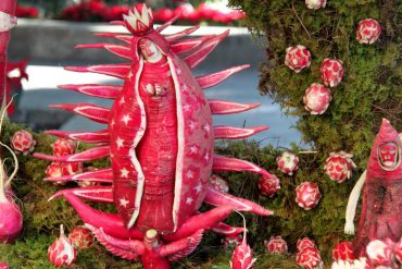 Night of the Radishes: Facts – Radish benefits