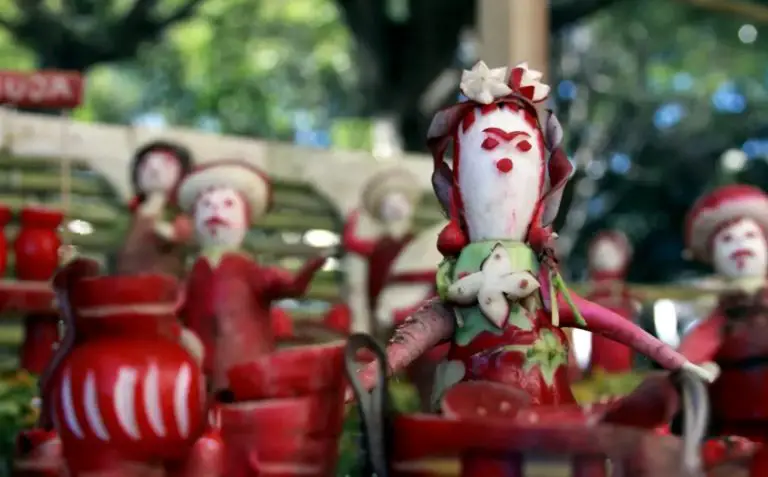 Night of the Radishes: Facts – Radish benefits