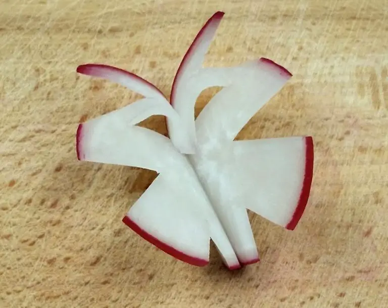 DIY Radish Ornaments for Kid Snacks – Radish benefits