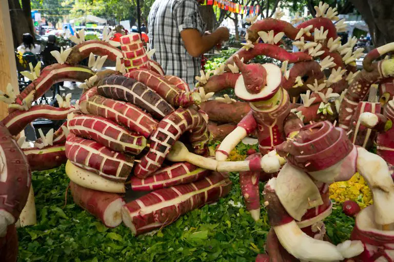 Night of the Radishes: Facts – Radish benefits