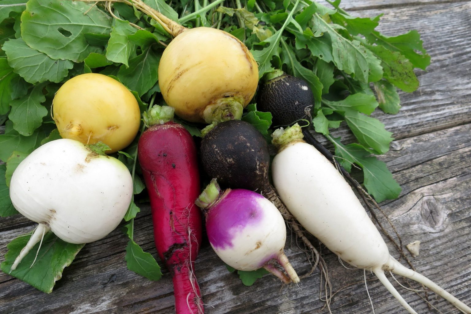 Do you have to peel radishes? – Radish benefits